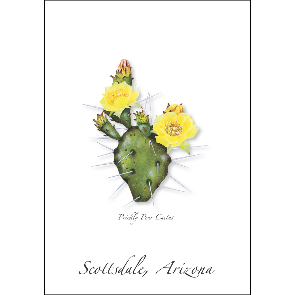 Customizable Cards - Prickly Pear Cactus – Earth Sky + Water