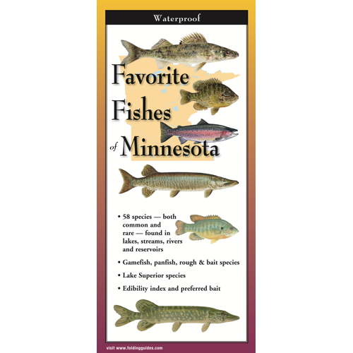FoldingGuides™ - Favorite Fishes of Minnesota – Earth Sky + Water