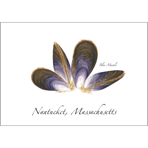 Customizable Cards - Blue Mussel – Earth Sky + Water