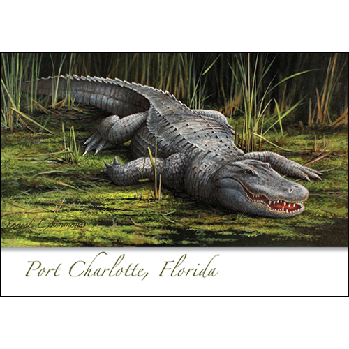 Customizable Cards - Simmons American Alligator – Earth Sky + Water