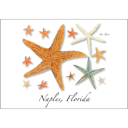 Customizable Cards - Sea Stars – Earth Sky + Water
