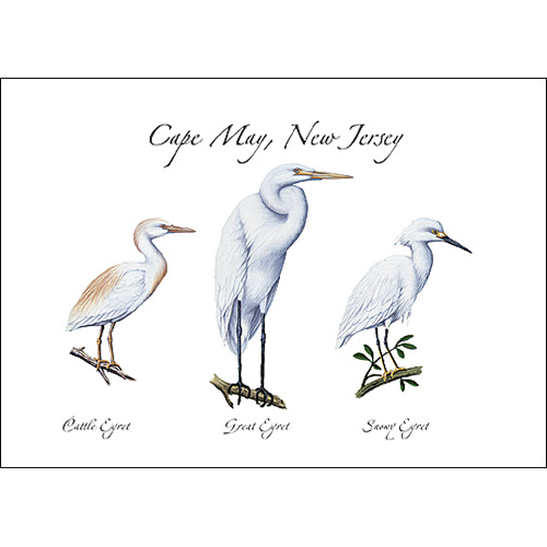 Customizable Cards - Three Egret – Earth Sky + Water