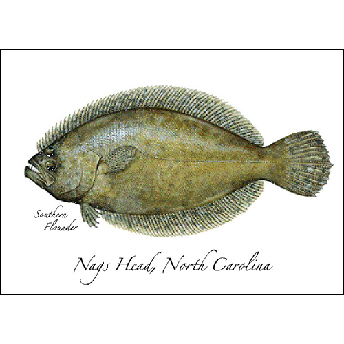 Customizable Cards - Southern Flounder – Earth Sky + Water