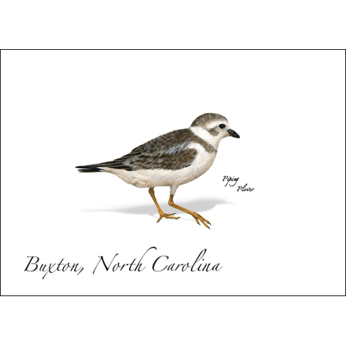 Customizable Cards - Piping Plover – Earth Sky + Water