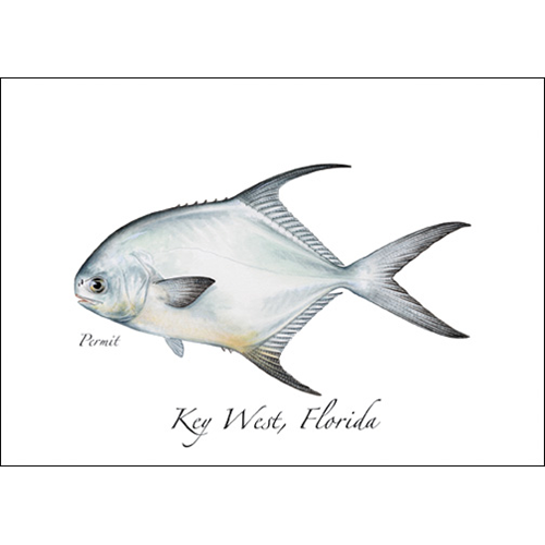 Customizable Cards - Permit – Earth Sky + Water