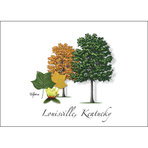 Tuliptree – Earth Sky + Water