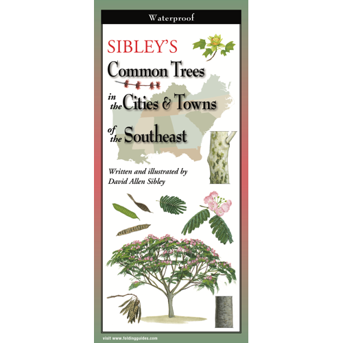 FoldingGuides™ - Sibley's Common Trees in the Cities & Towns of the ...