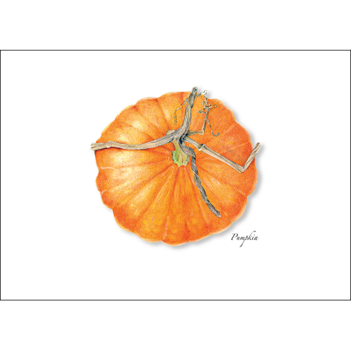 Greeting Cards - Pumpkin – Earth Sky + Water