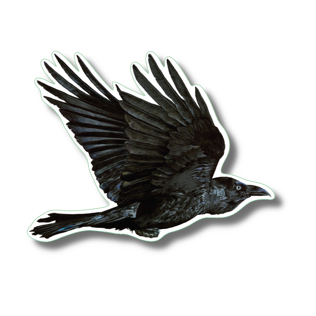 Stickers - Raven – Earth Sky + Water