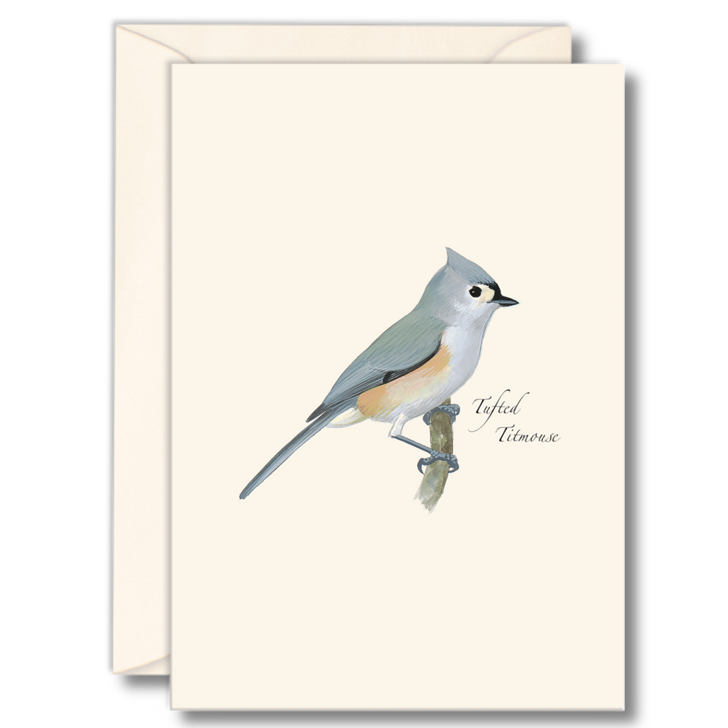 Best Selling Boxed Notecards - Tufted Titmouse
